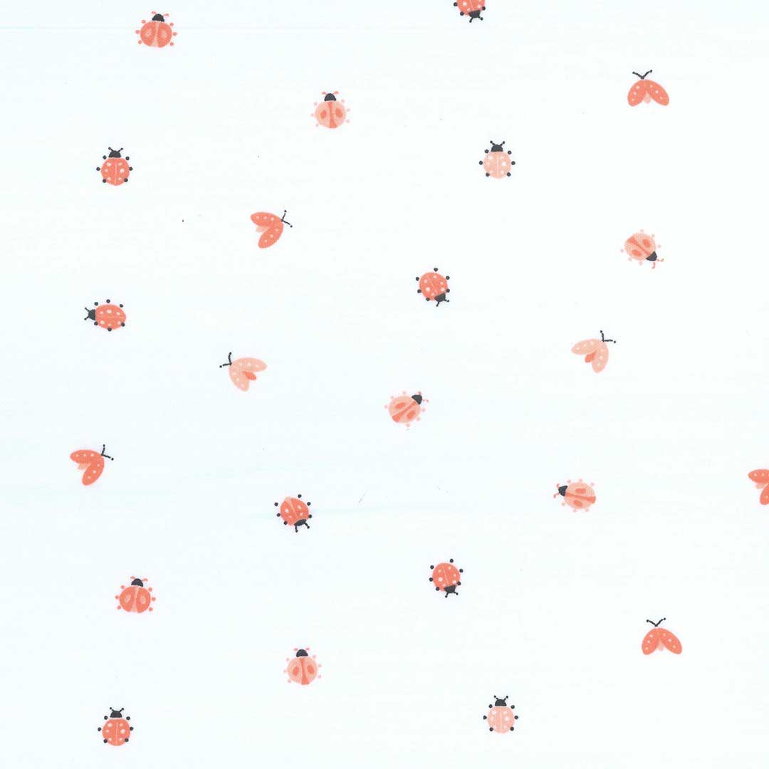 IBE CATARI_V2 - Teks Telas linea 2